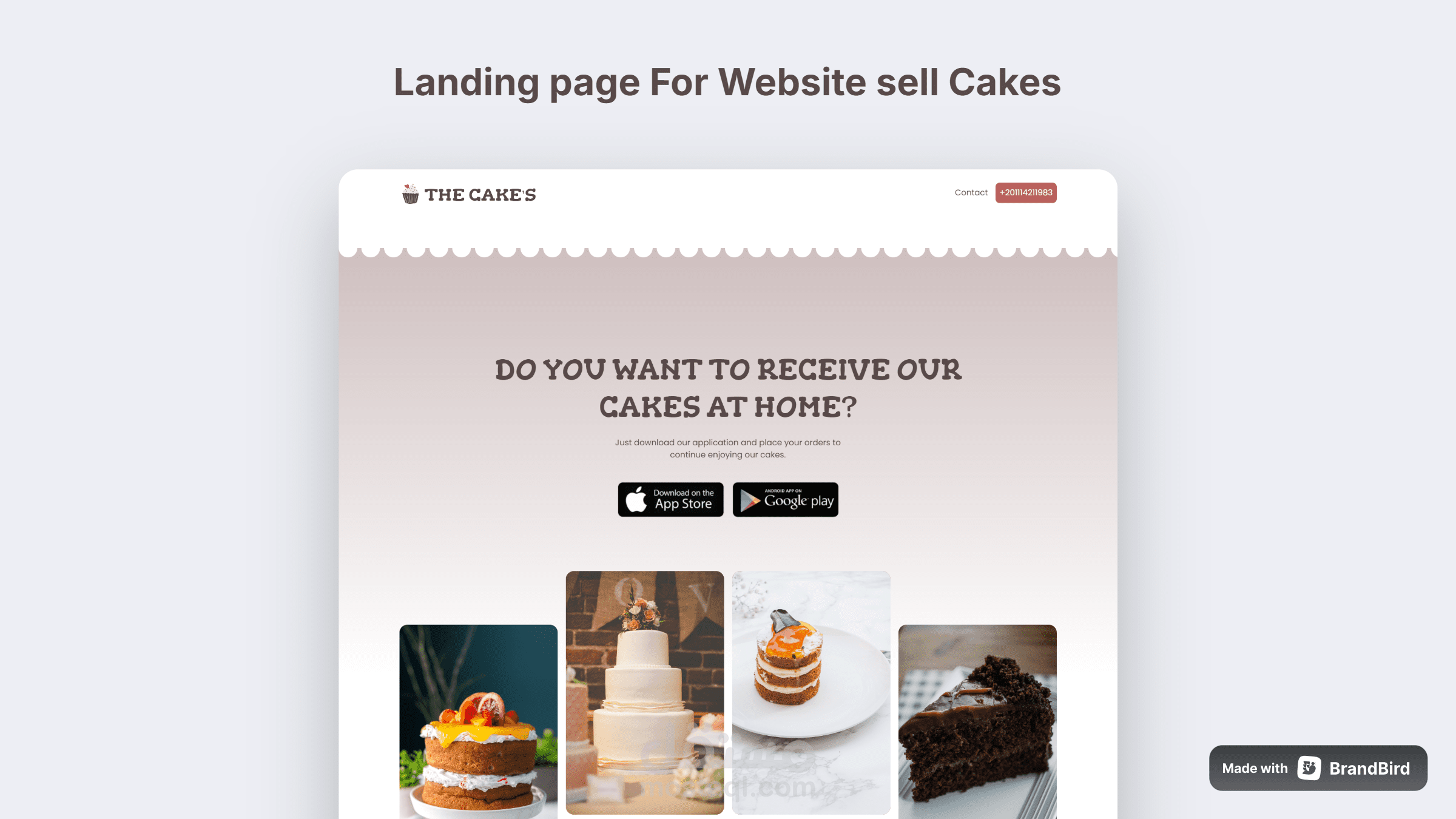 "landing page for "Cake Website | مستقل