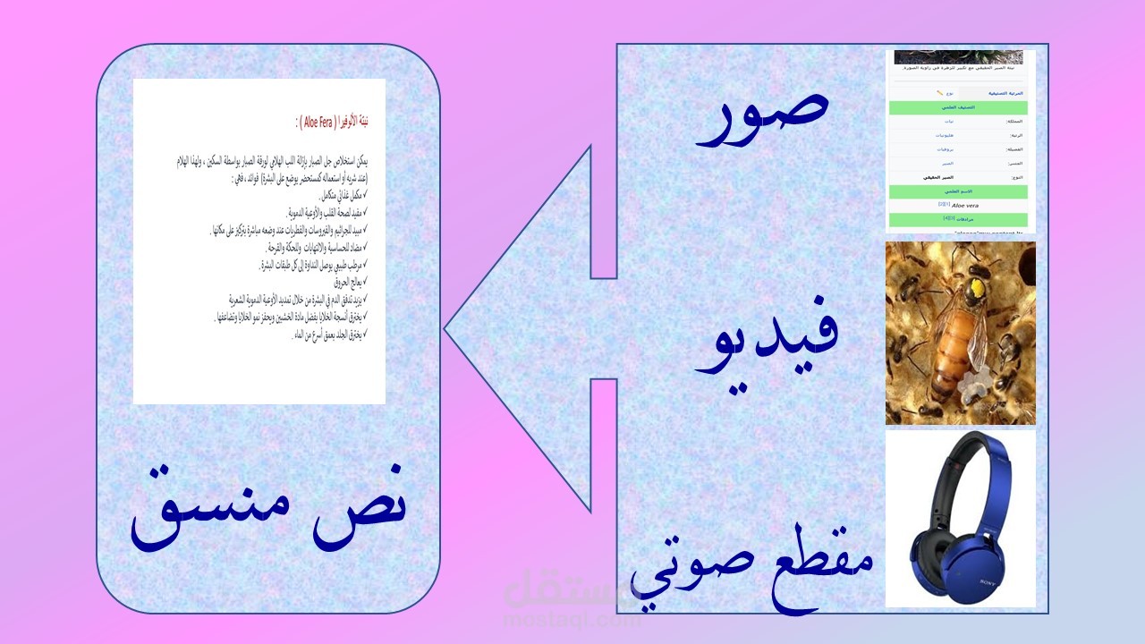 تفريغ محتوى صور أو فيديو أو مقطع صوتي إلى نص منسق مستقل