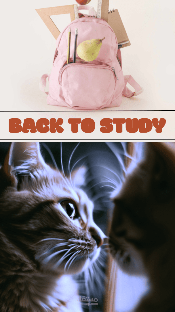 Back to study_cat | مستقل