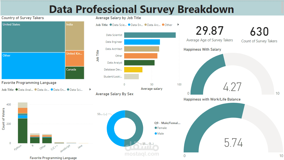 Data Professional Survey Breakdown | مستقل