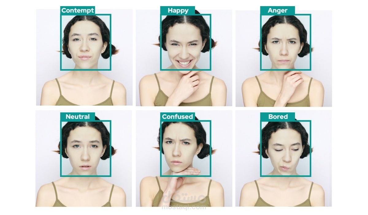 Emotion Recognition Using Facial Biometrics مستقل