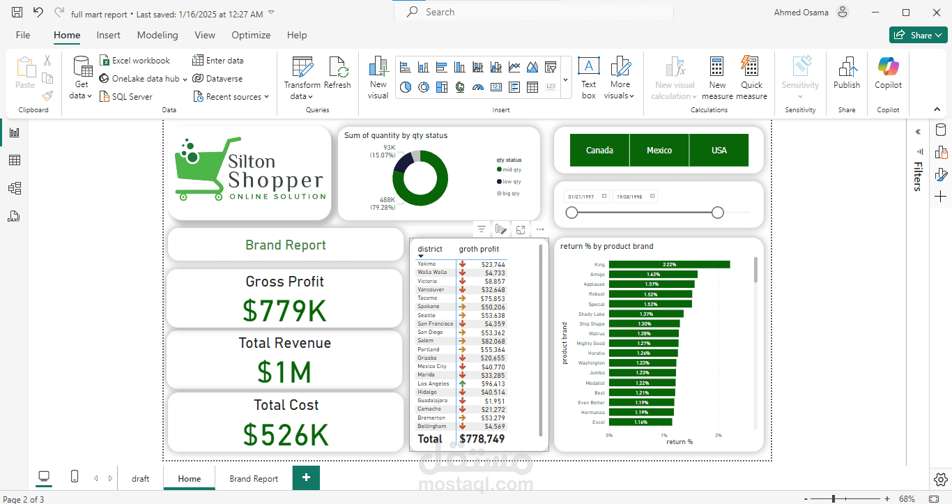 تحليل أداء شركة Silton Shopper باستخدام Power BI | مستقل