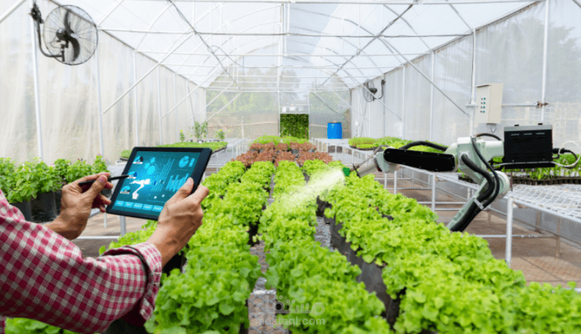 Automated-Greenhouse-Project | مستقل