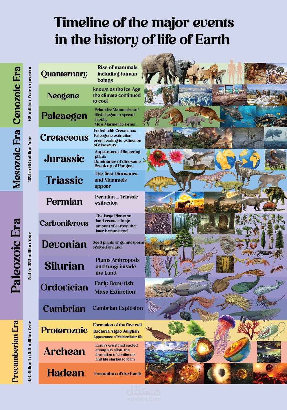 Biology timeline | مستقل