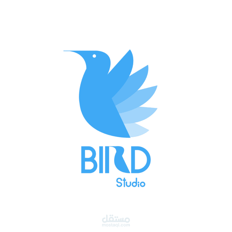 Bird Studio | مستقل