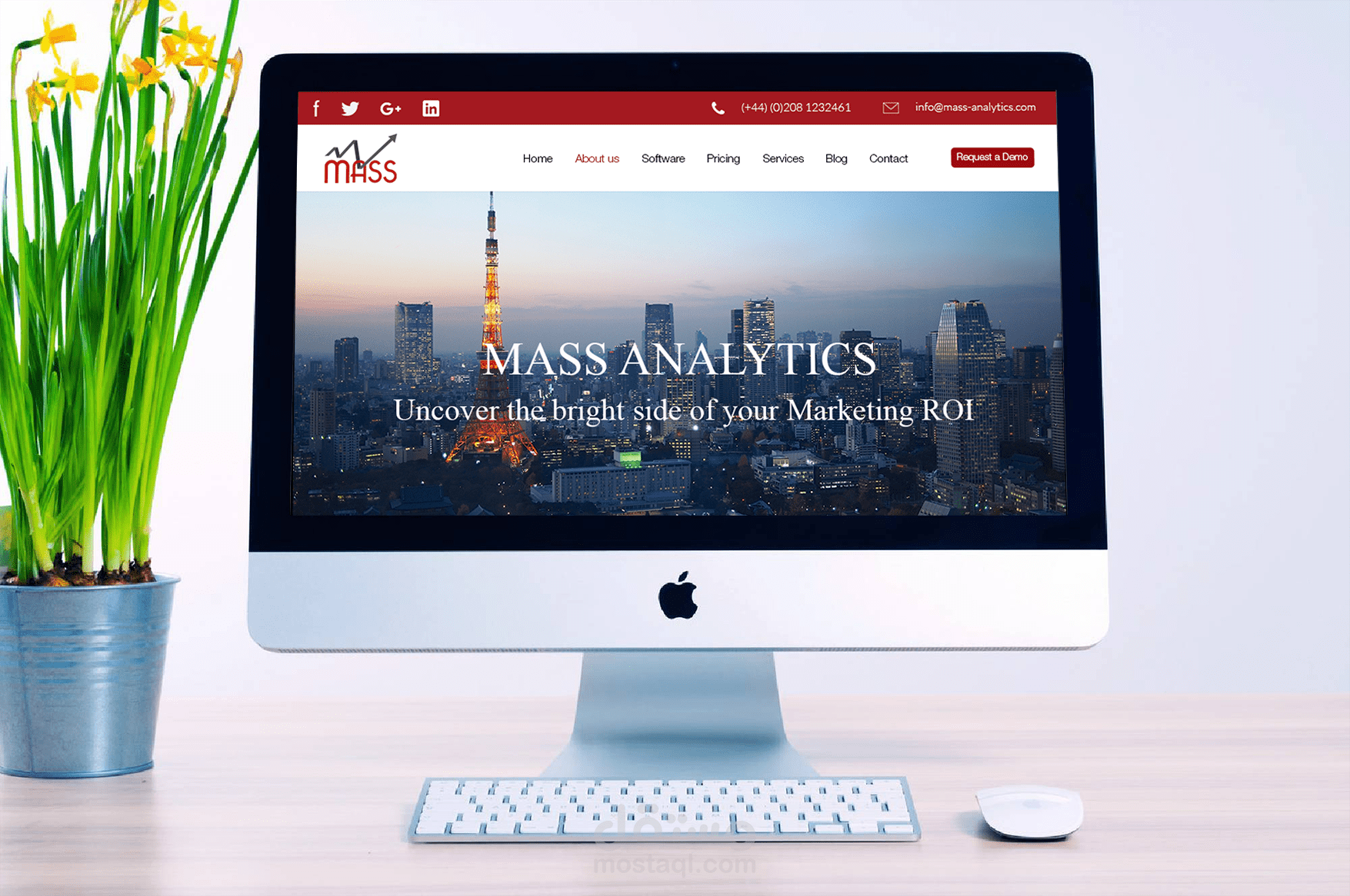 موقع Mass_Analytics | مستقل