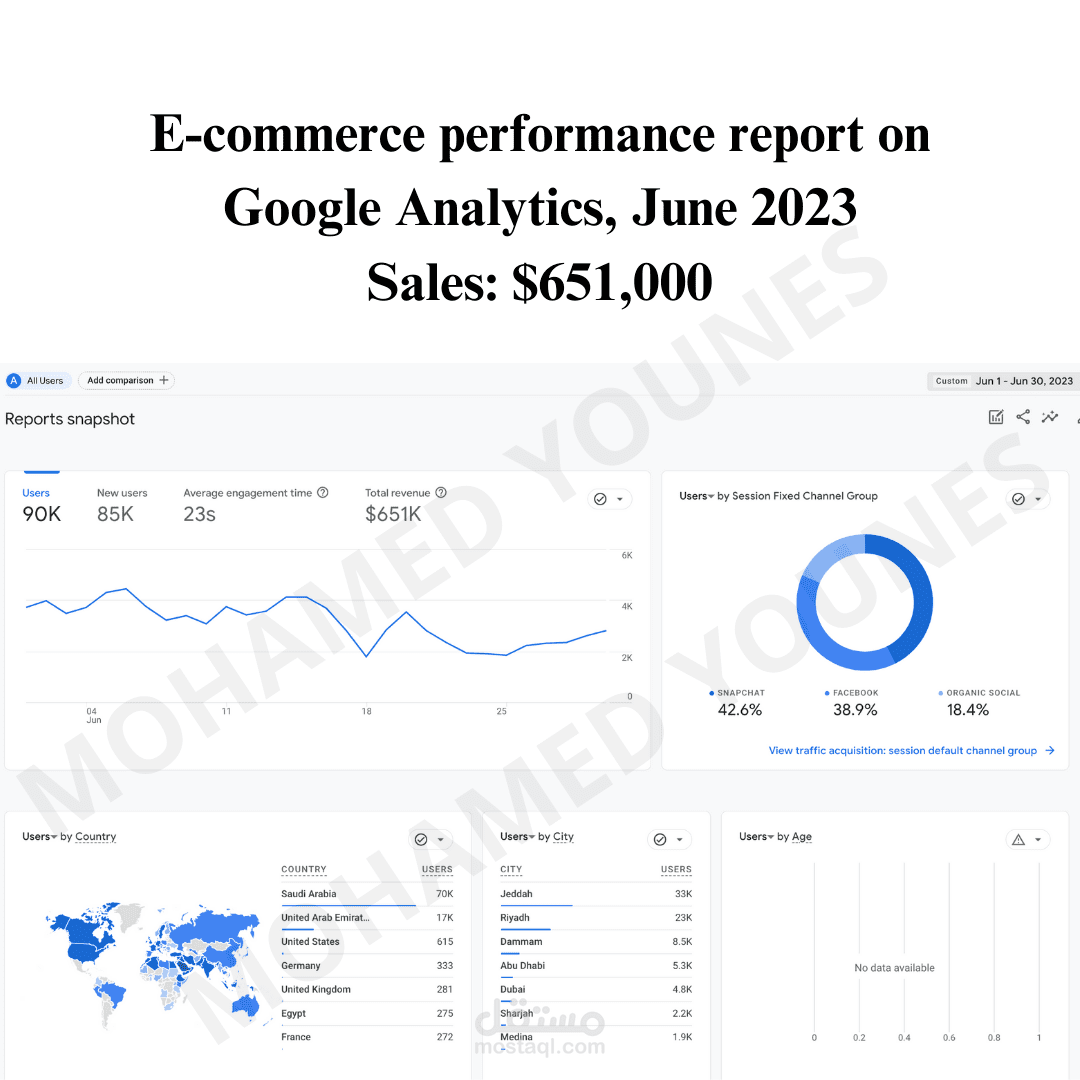 E-commerce performance report on Google Analytics, June 2023 Sales: $651,000 | مستقل