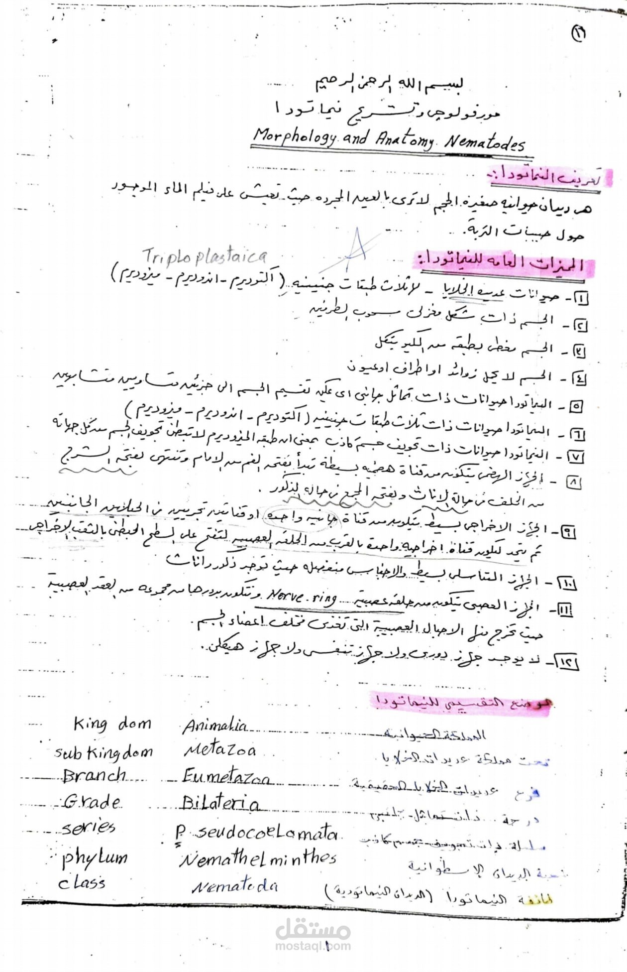 اعادة كتابة ملف مكتوب بخط اليد وتحويله الي ملف Word مستقل