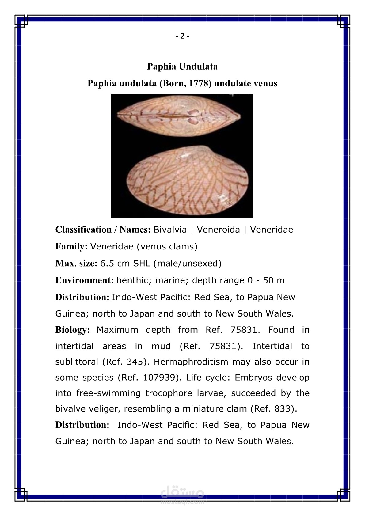 Parasites in Paphia Undulata | مستقل