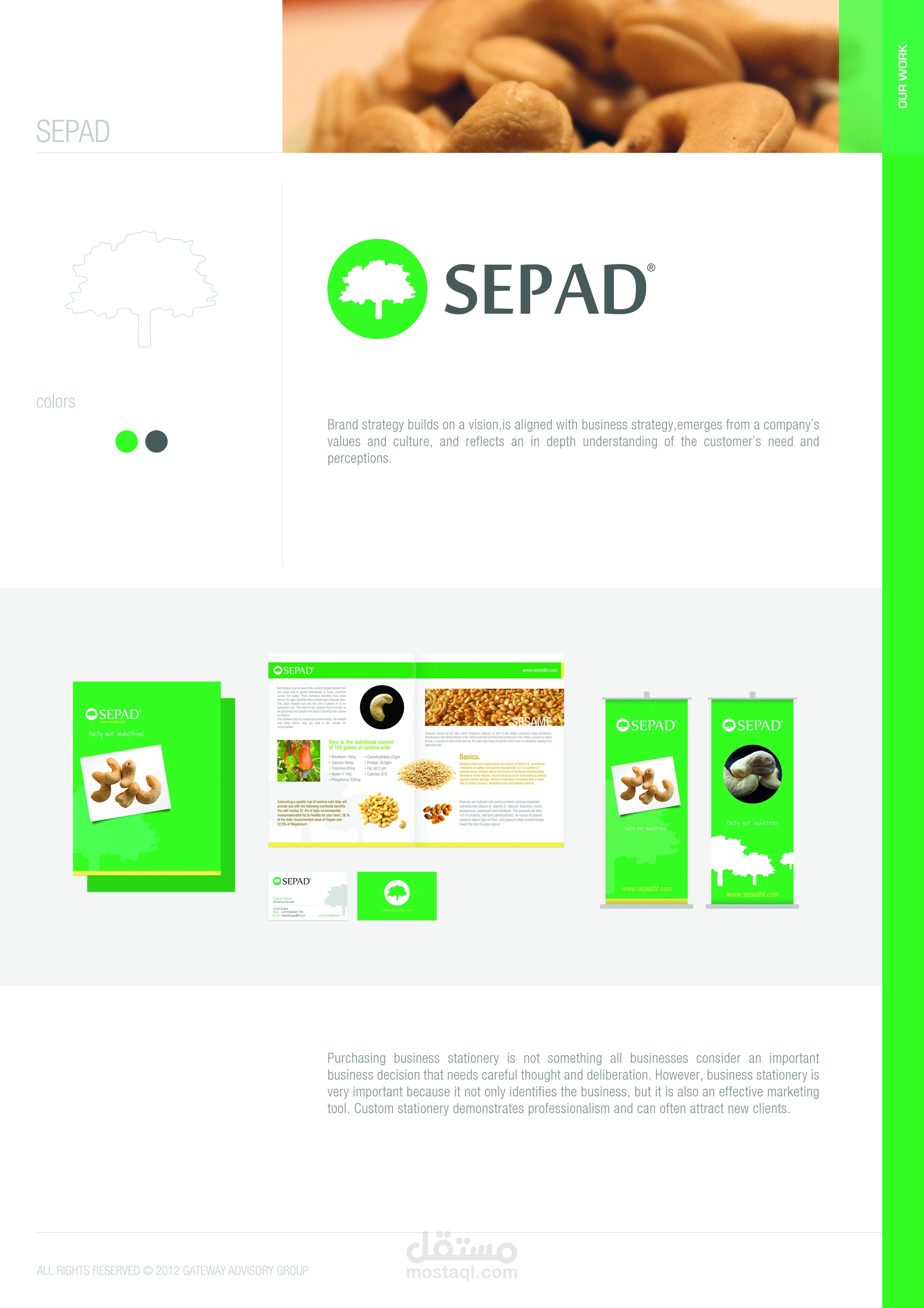 تصميم اللوغو ومطبوعات كاملة لشركة SEPAD . | مستقل