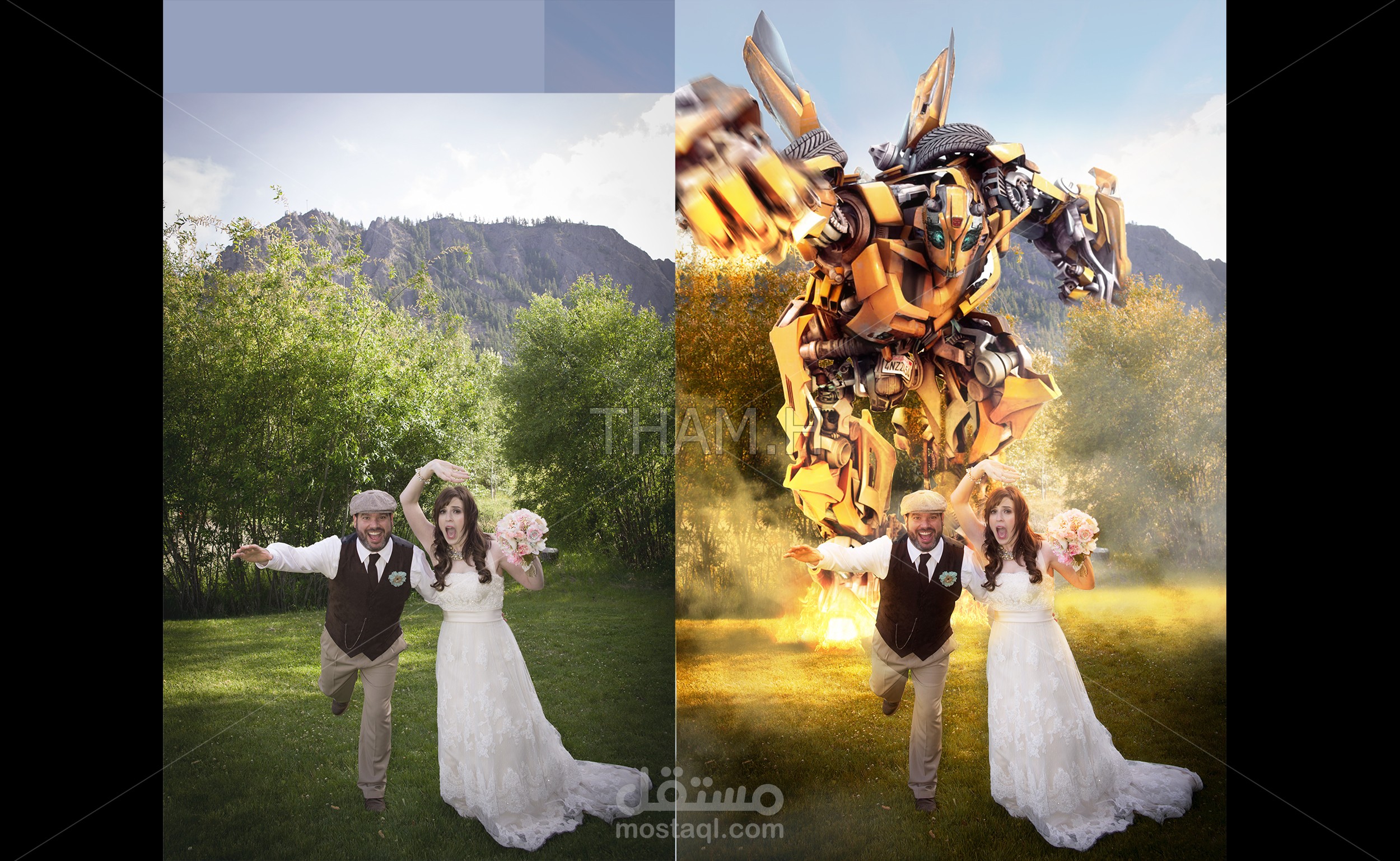 Photoshop 1 image ( cut out, edit, retouch, recolour,....) | مستقل