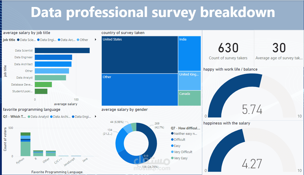 Data Professionals Survey Analysis Dashboard | مستقل