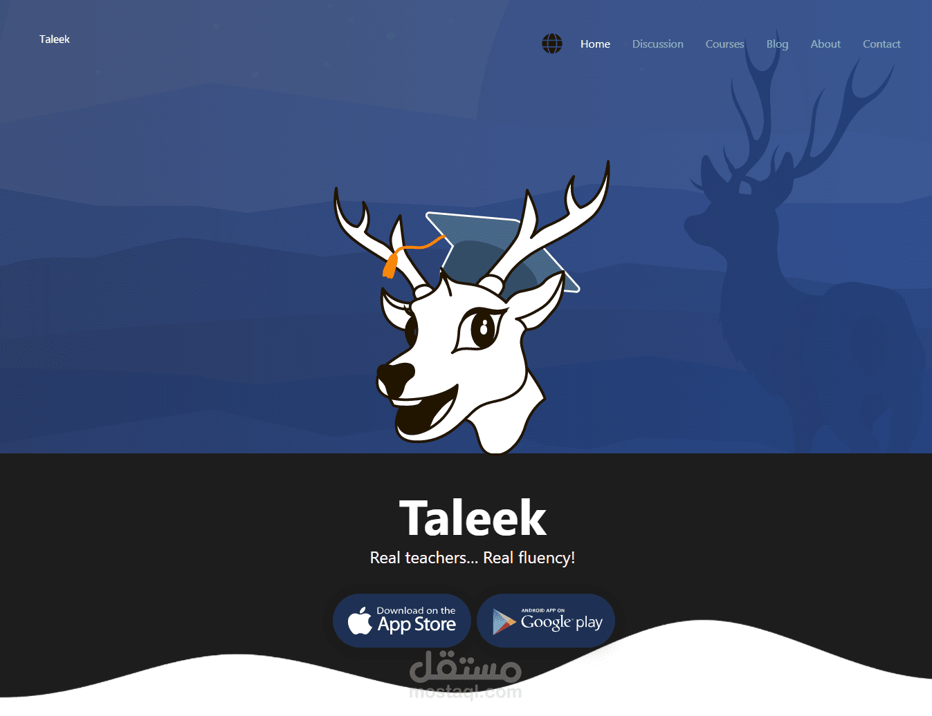 Taleek منصة لتعليم اللغات | مستقل