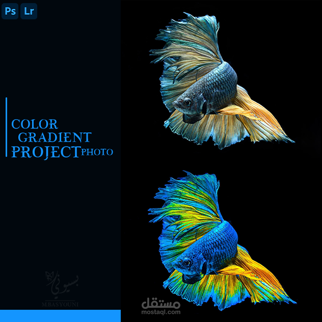 Color Correction & Gradient - (photos) | مستقل