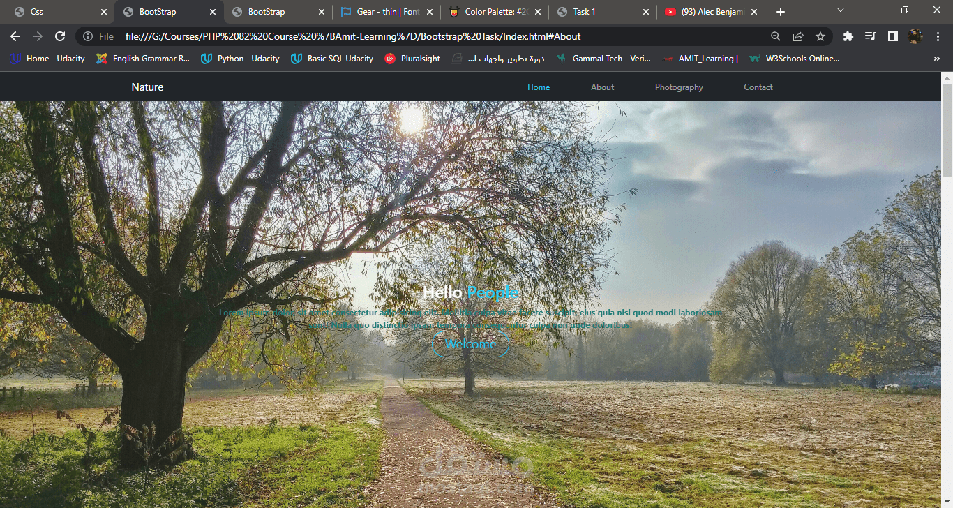 Responsive Bootstrap Html Css Web Page مستقل