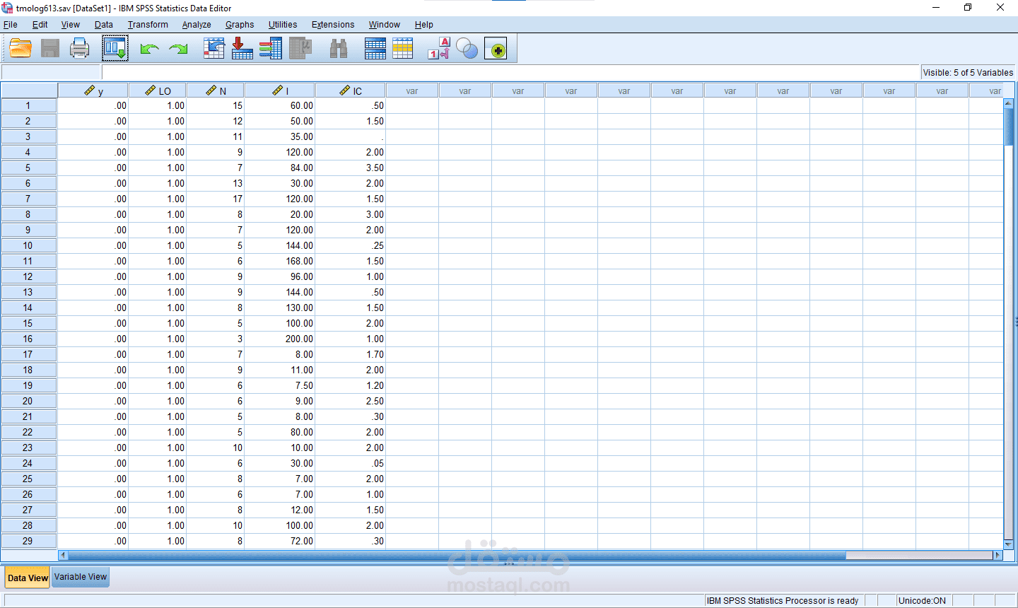 Data Entry In Spss 